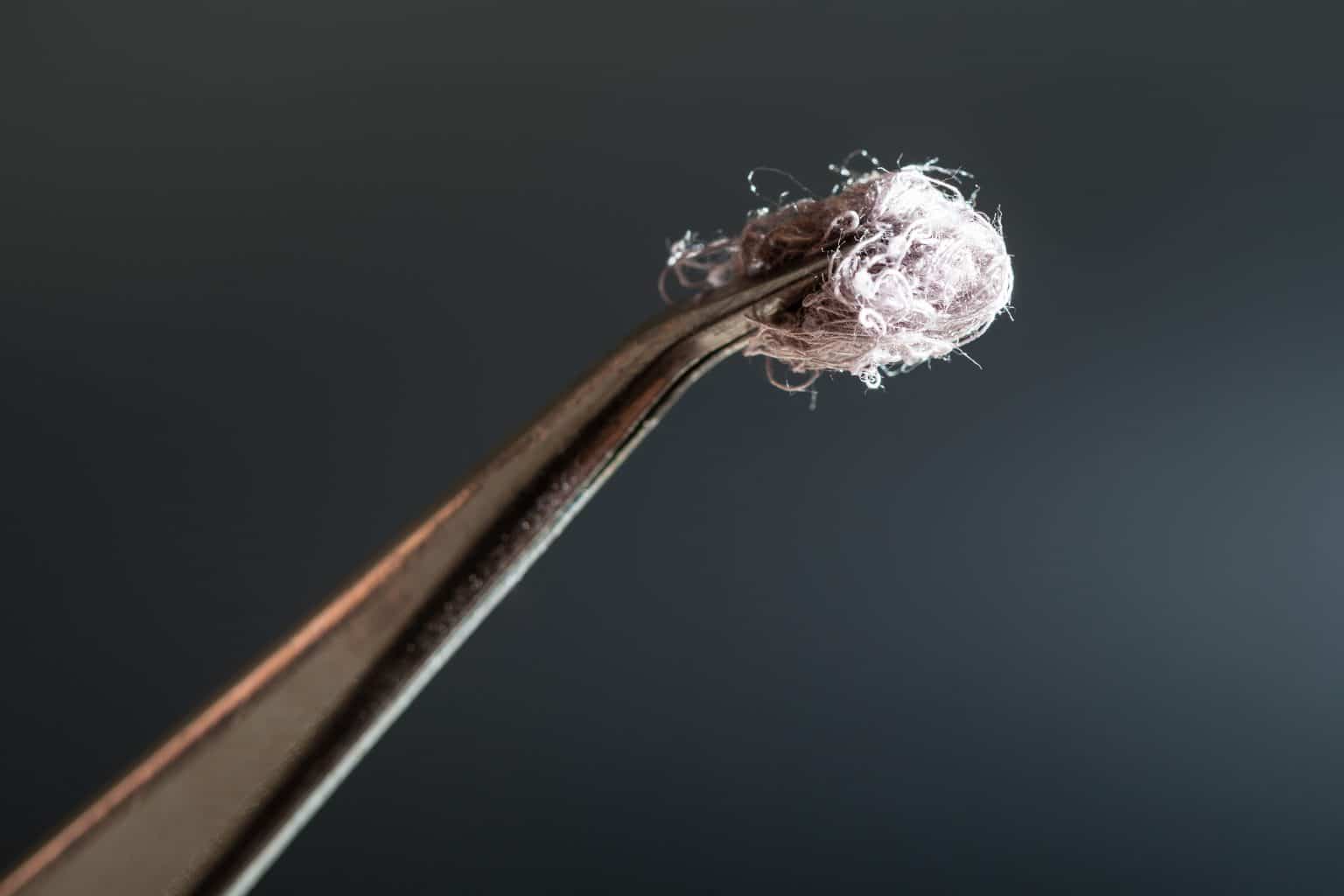 Textile Fibers Related Knowledge